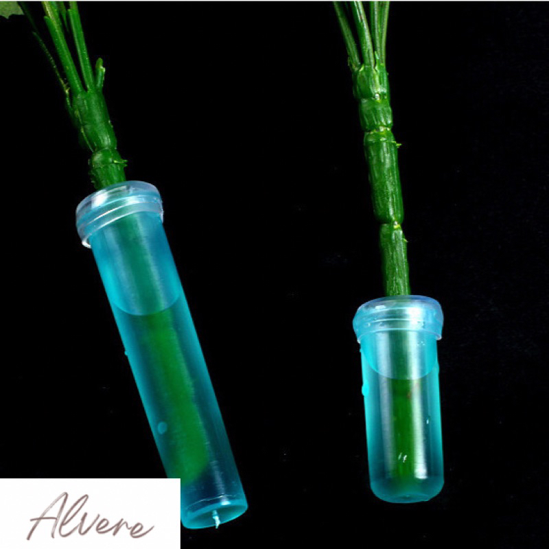 Jual Flower Tube / Cup Bunga / Tabung Air Bunga | Shopee Indonesia