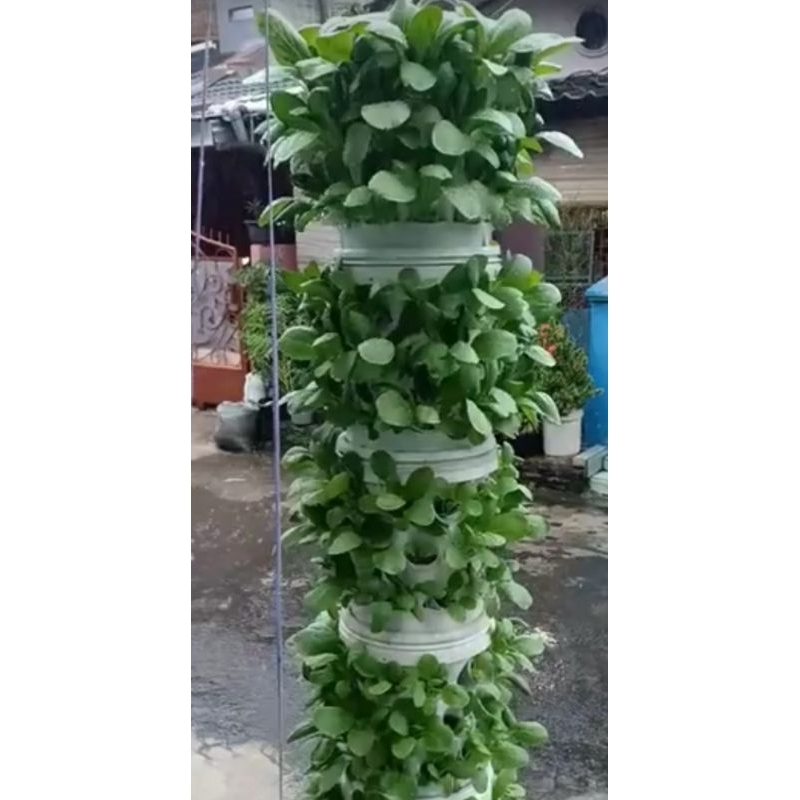 Jual PAKET POT EMBER VERTIKAL HIDROPONIK BANYAK LUBANG TANAM | Shopee ...