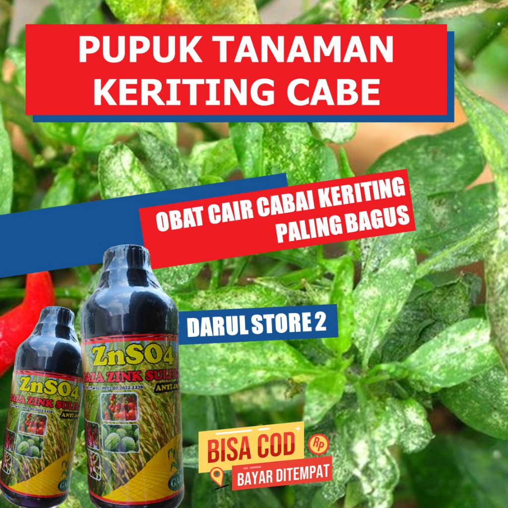 Jual OBAT DAUN CABAI KERITING ZNSO PALING BAGUS - Pupuk Atasi Daun ...