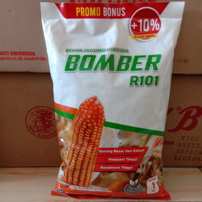 Jual Benih Jagung Hibrida BOMBER R101 1kg | Shopee Indonesia