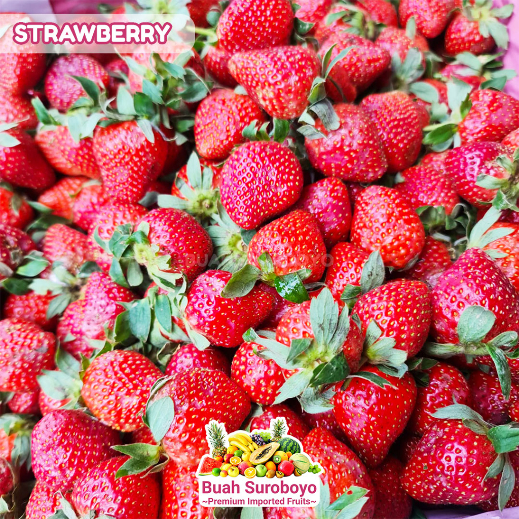 Jual Strawberry Lokal | Shopee Indonesia
