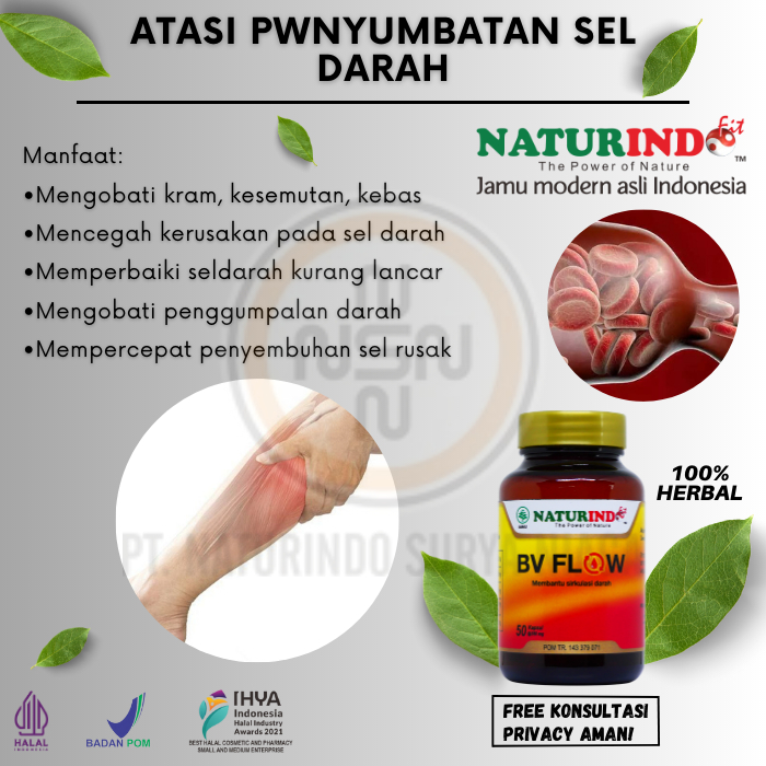 Jual BV FLOW OBAT HERBAL KRAM KESEMUTAN KEBAS PENYUMBATAN SEL DARAH ...