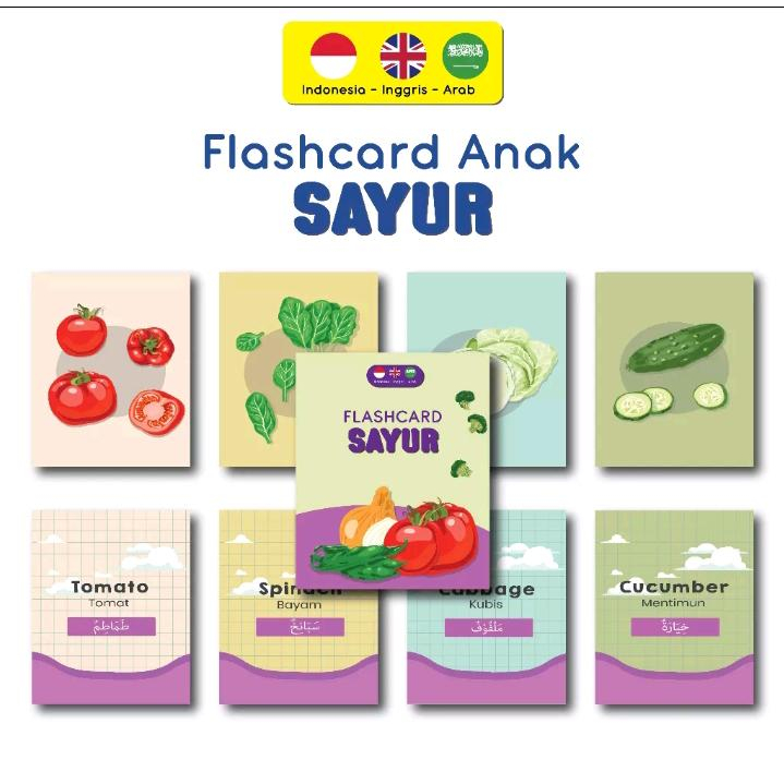 Jual READY STOK FLASHCARD ANAK MURAH FULL COLOUR FLASHCARD KOTAK ...