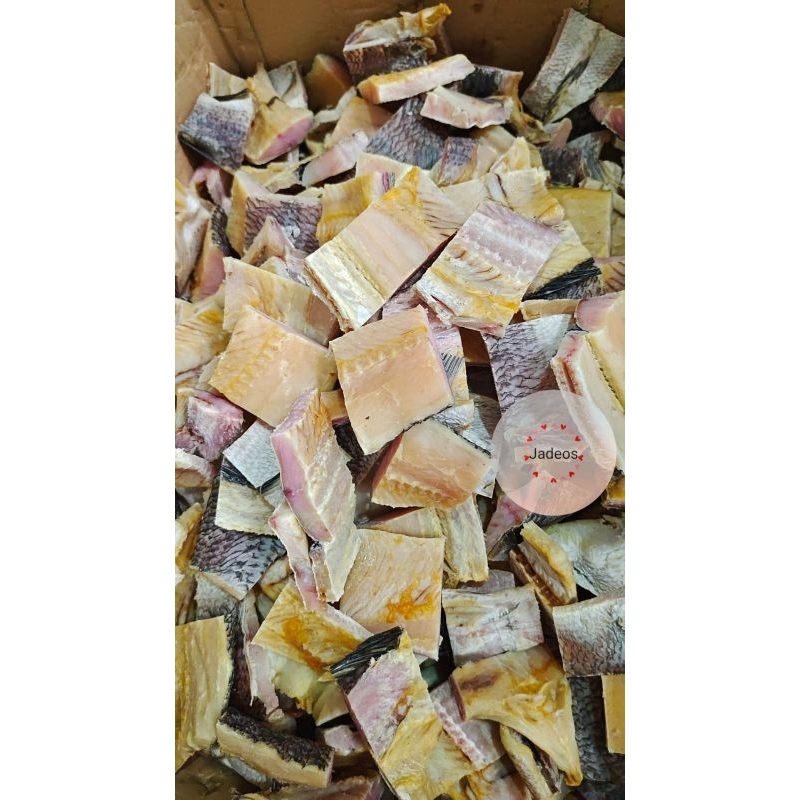 Jual Ikan Gabus Super 1kg | Shopee Indonesia
