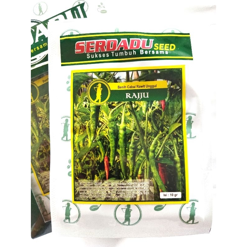 Jual Benih cabe rawit RAJJU 10gram, rawit hijau, rawit ijo, rajo ...