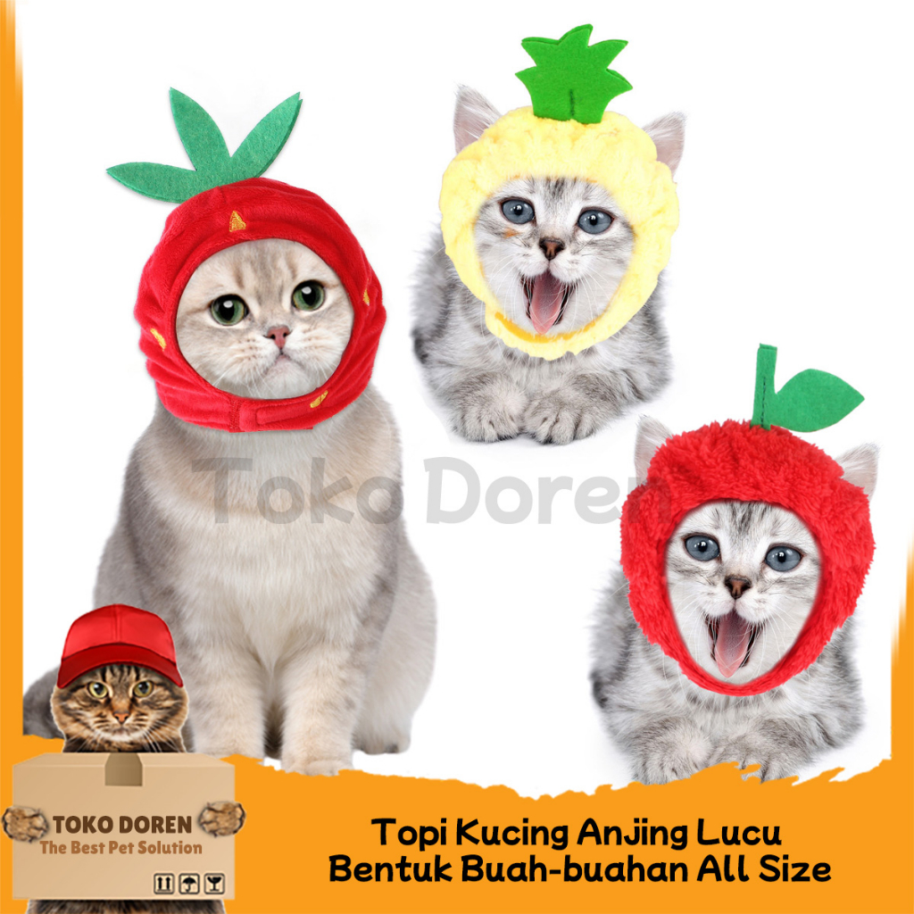 Jual Topi Kucing Anjing Lucu Bentuk Buah-buahan (Strawberry, Apel ...