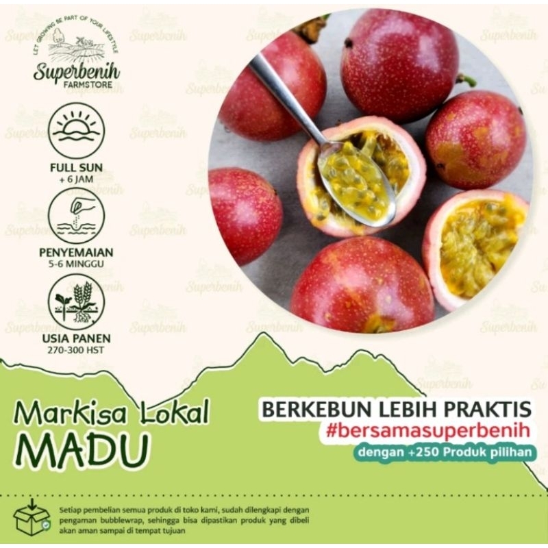 Jual 10 Bji Bibit benih Markisa Madu Buah Merah Manis | Shopee Indonesia