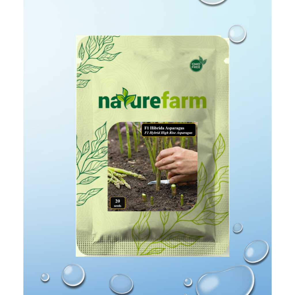 Jual Naturefarm - Benih Asparagus F1 Hibrida (High Rise Asparagus F1 ...