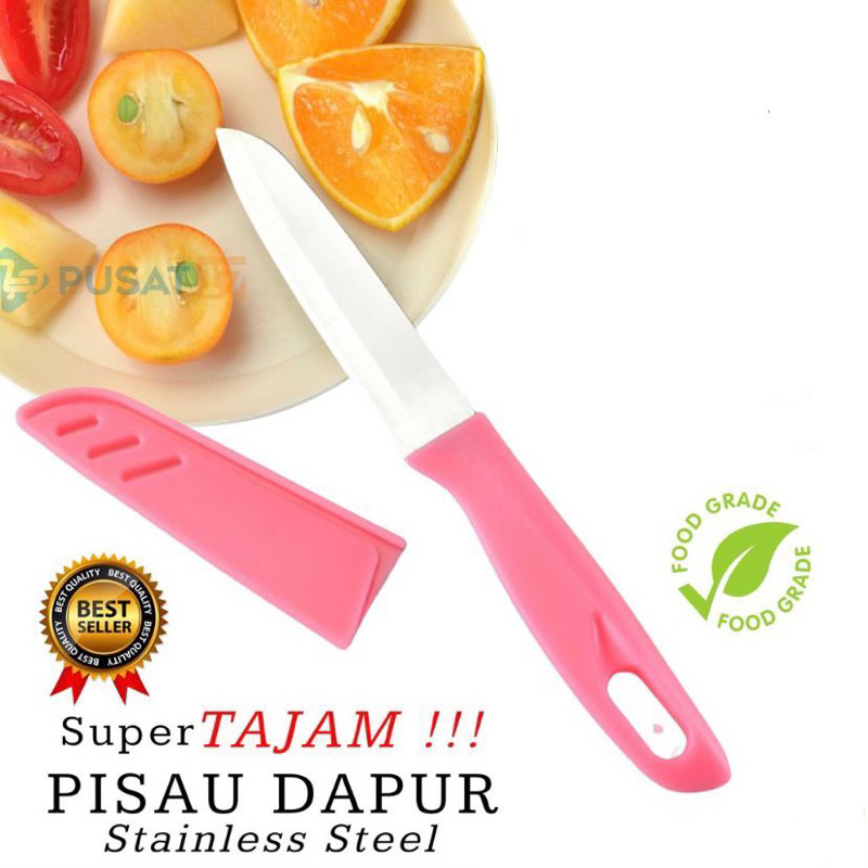 Jual PISAU DAPUR STAINLESS PISAU SAYUR KUPAS BUAH / PISAU SARUNG WARNA ...