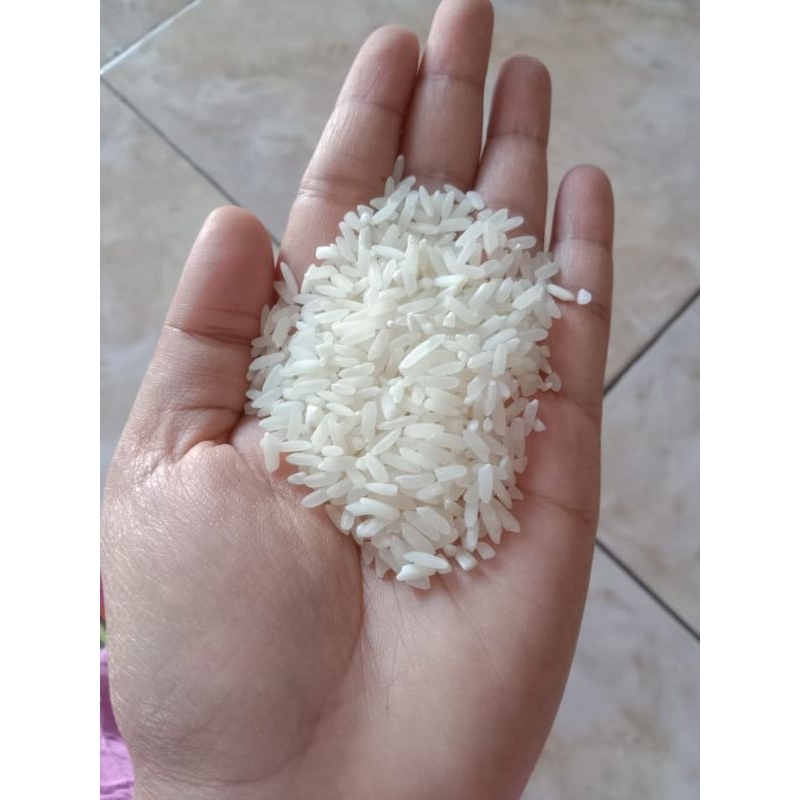 Jual Beras 1 Kg Harga Terlengkap & Harga Terbaru Juni 2026 | Shopee ...