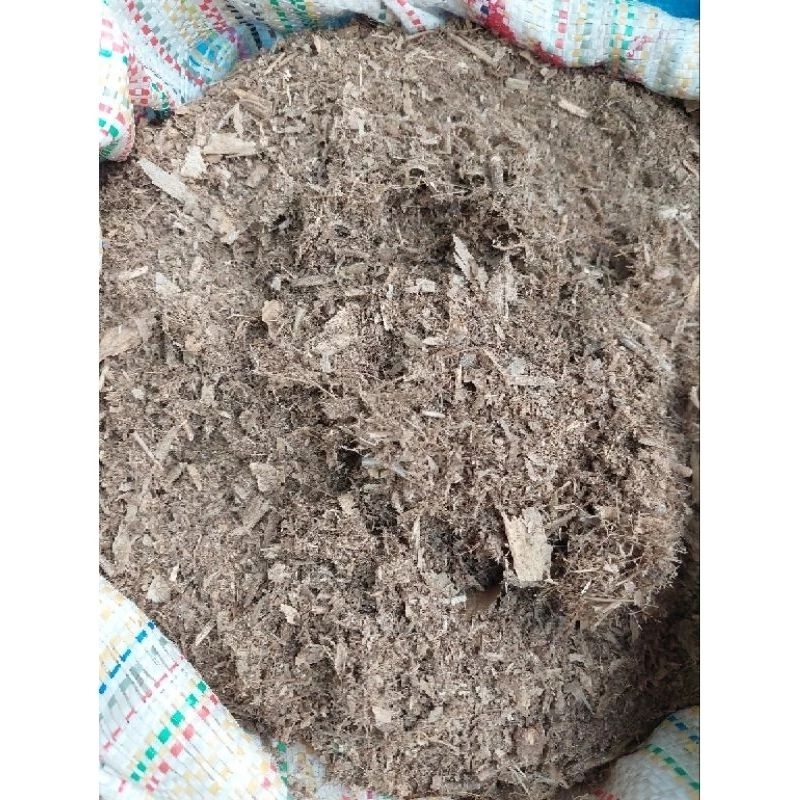 Jual Media Tanam Humus Tanah Akar Bambu 1 Kg | Shopee Indonesia