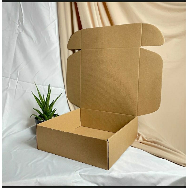 Jual Kardus box packing medium 20x15x5 / 21x21x5 / 20x20x8 / 25x15x3 ...