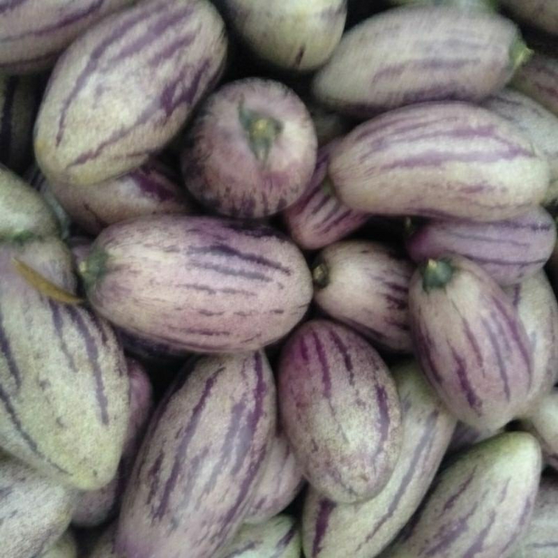 Jual BUAH PEPINO PAPINO SEGAR kg | Shopee Indonesia