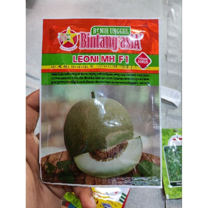 Jual Benih Bibit Melon Leoni MH F1, Tipe jumbo Tahan Virus (Isi 100 ...
