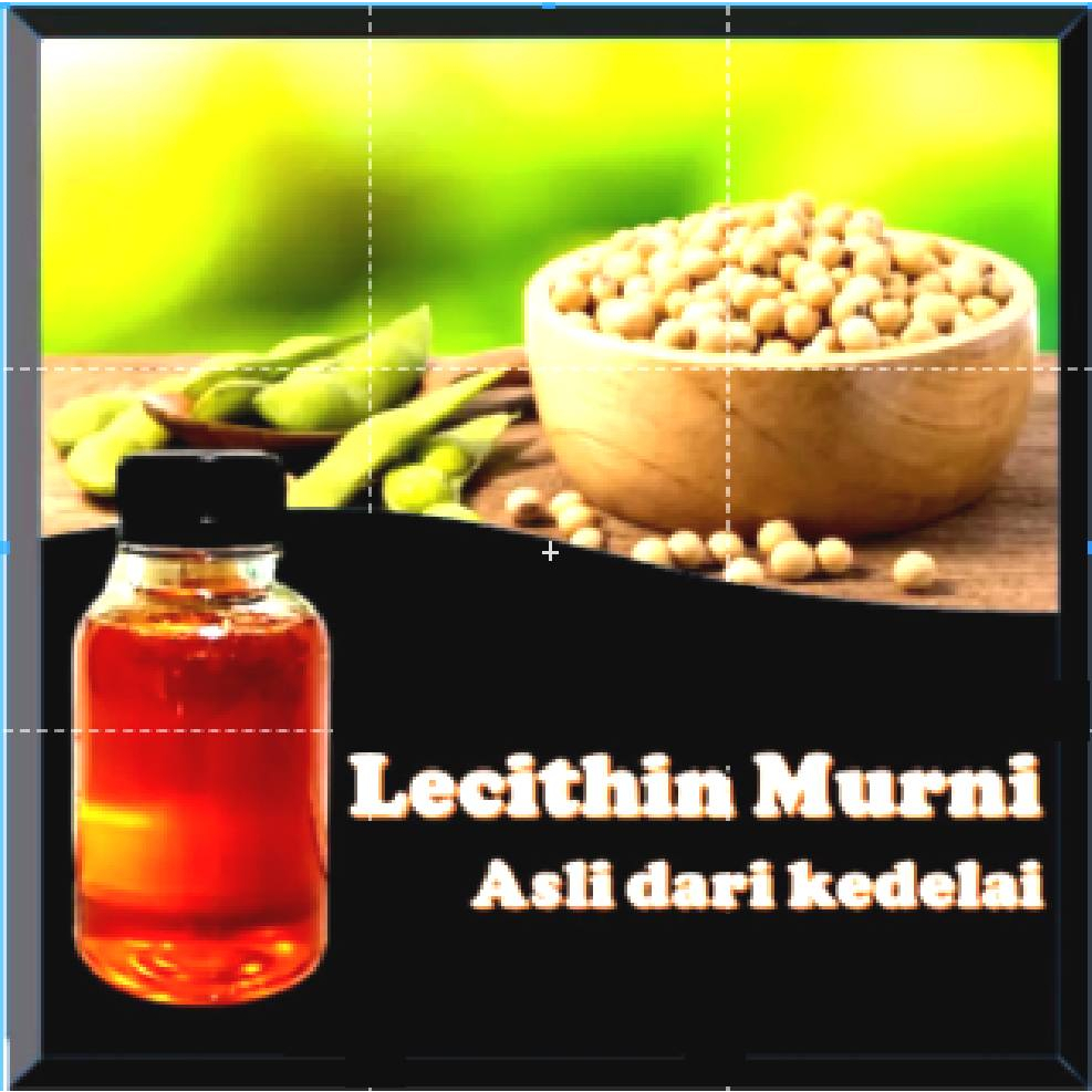 Jual Soya lecithin / soy lecithin / lesitin / lesitin nabati kacang ...