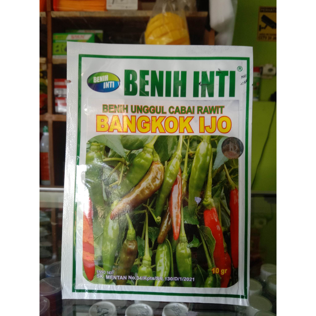 Jual Benih Cabai Rawit Bangkok ijo - Benih inti | Shopee Indonesia