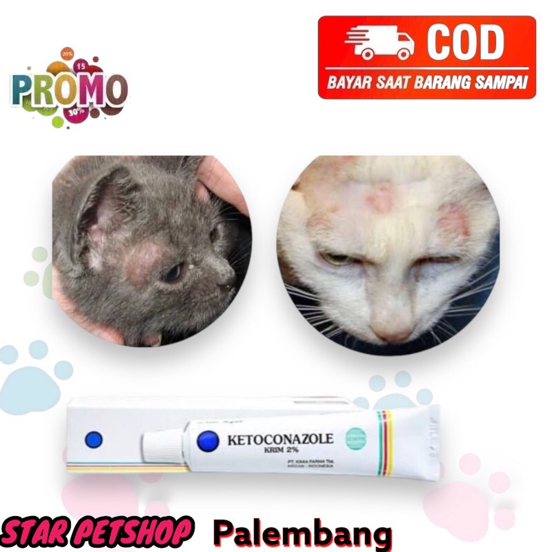 Jual Obat Salep Jamur Kucing Miconazole 10g dan Kentokonazole 10g ...