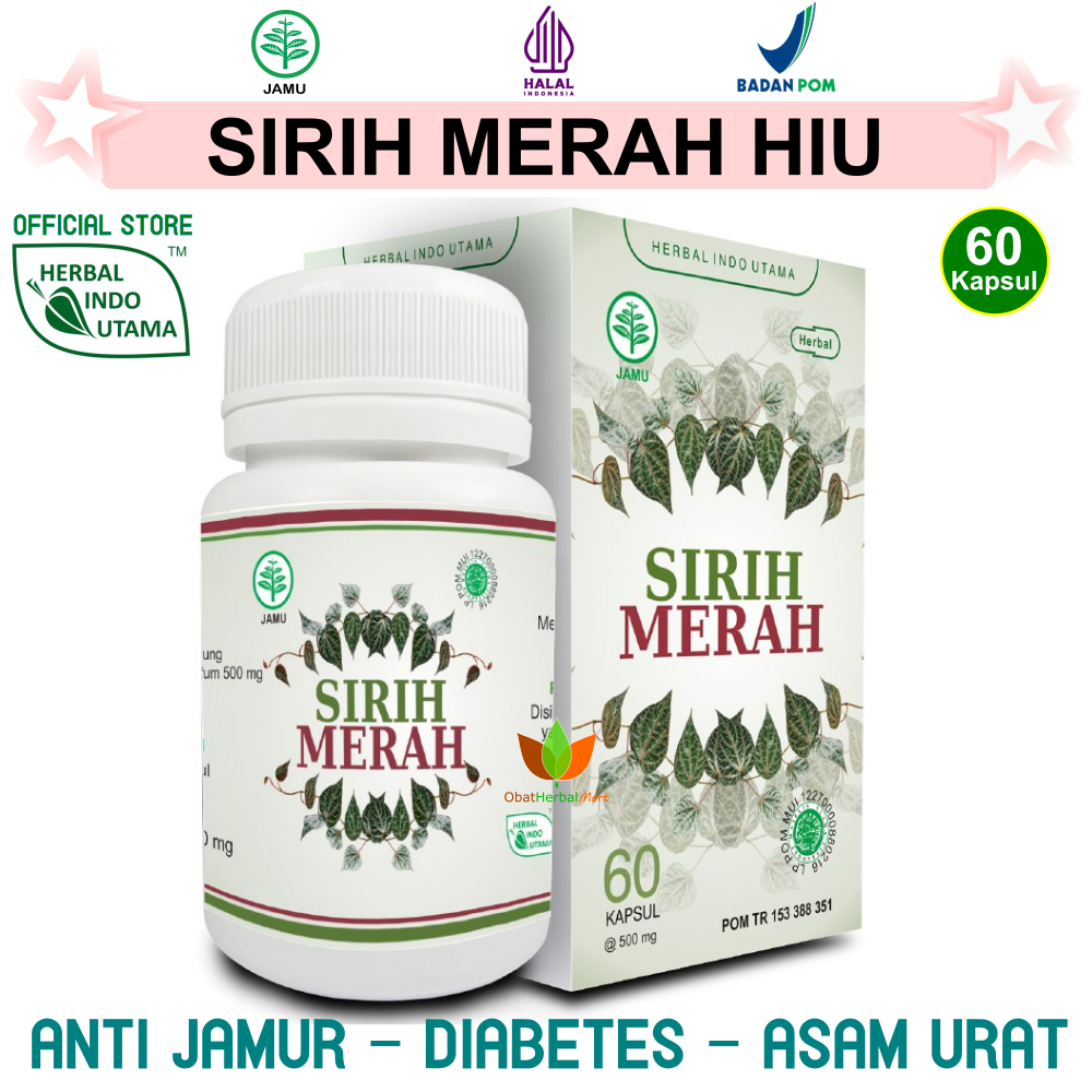 Jual 60 KAPSUL DAUN SIRIH MERAH HIU HERBAL INDO UTAMA JAMU OBAT ASAM ...