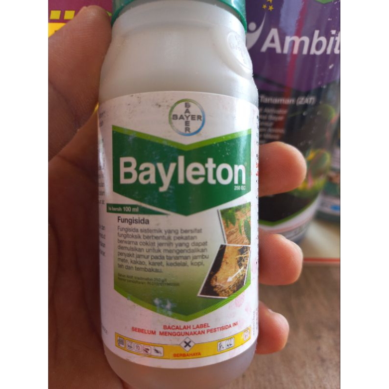 Jual Fungisida Bayleton 250 EC 100 ml | Shopee Indonesia