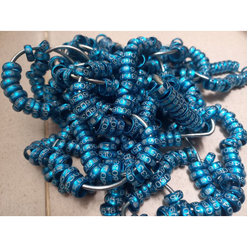 Jual Ring Merpati Balap Jatim 2024 Original | Shopee Indonesia