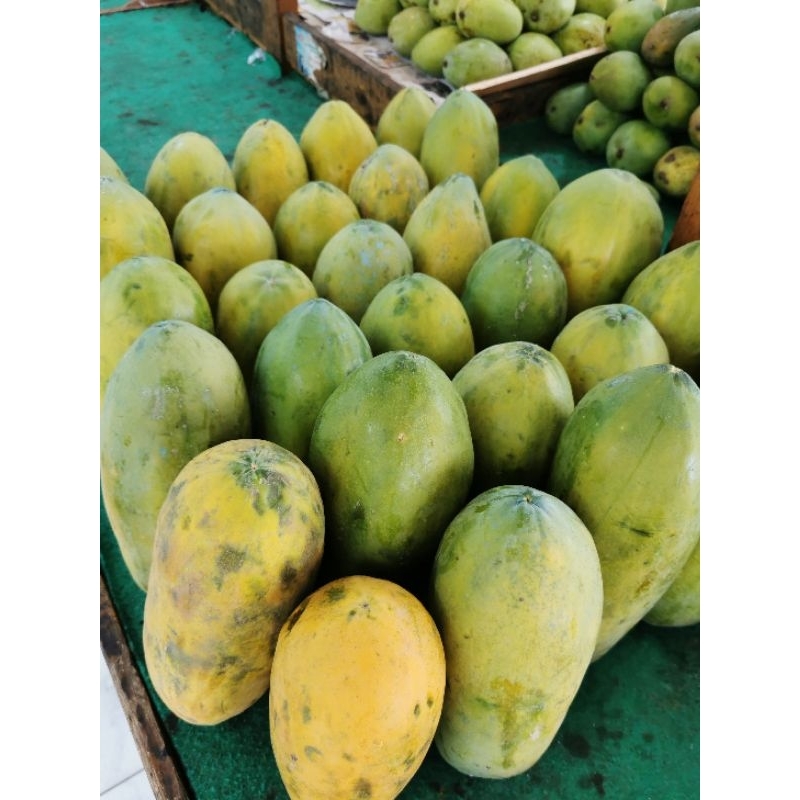 Jual Buah Pepaya California Manis Ukuran berat 1 - 1,3 kg | Shopee ...