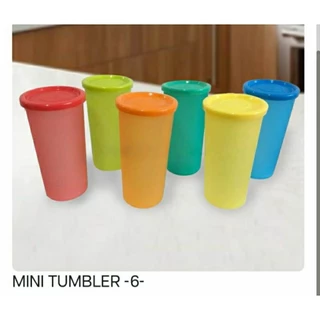 Jual Mini Tumbler Tupperware Terlengkap & Harga Terbaru Agustus 2025 ...