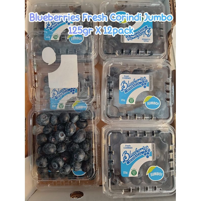 Jual Blueberries Fresh Corindi Jumbo 125 gram / Pack | Shopee Indonesia