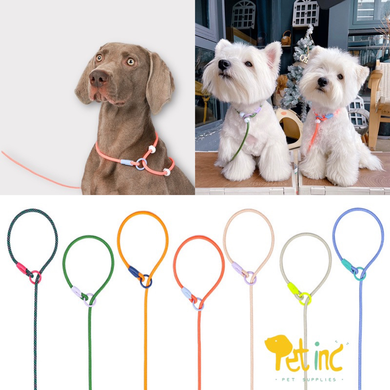 Jual Premium ziggypet simply neon leash | Shopee Indonesia