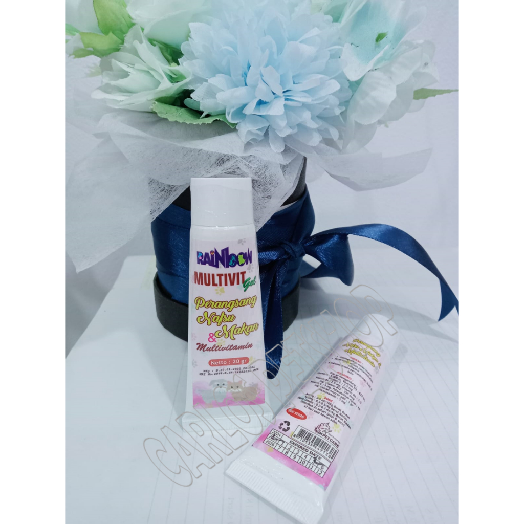 Jual Rainbow Multivit Gel Perangsang Nafsu Makan 15gr | Shopee Indonesia