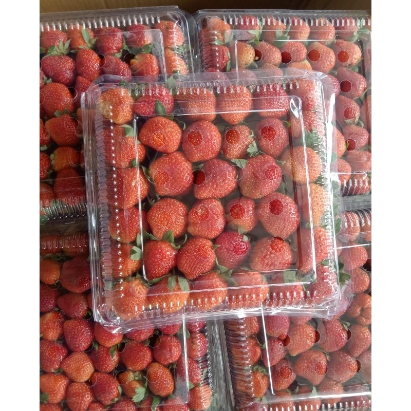 Jual Stroberi 1 kg | Shopee Indonesia
