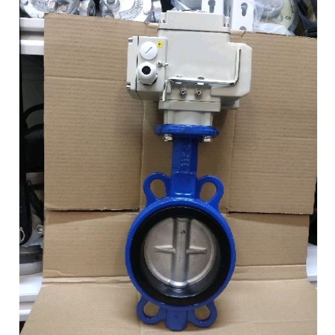 Jual Butterfly Valve 4" Inch Motorized Actuator Electric 220VAC ...