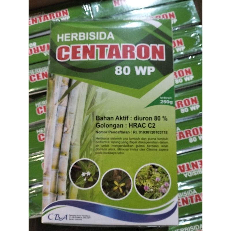 Jual herbisida Centaron 80wp 250gr / herbisida rumput lulangan /obat ...