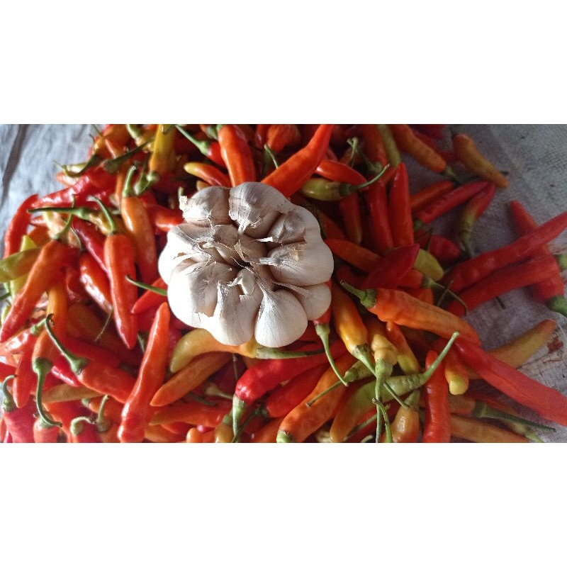Jual cabe 1kg | Shopee Indonesia