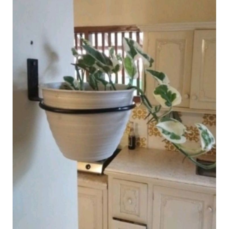 Jual rak bunga dinding,pot bunga tempel | Shopee Indonesia