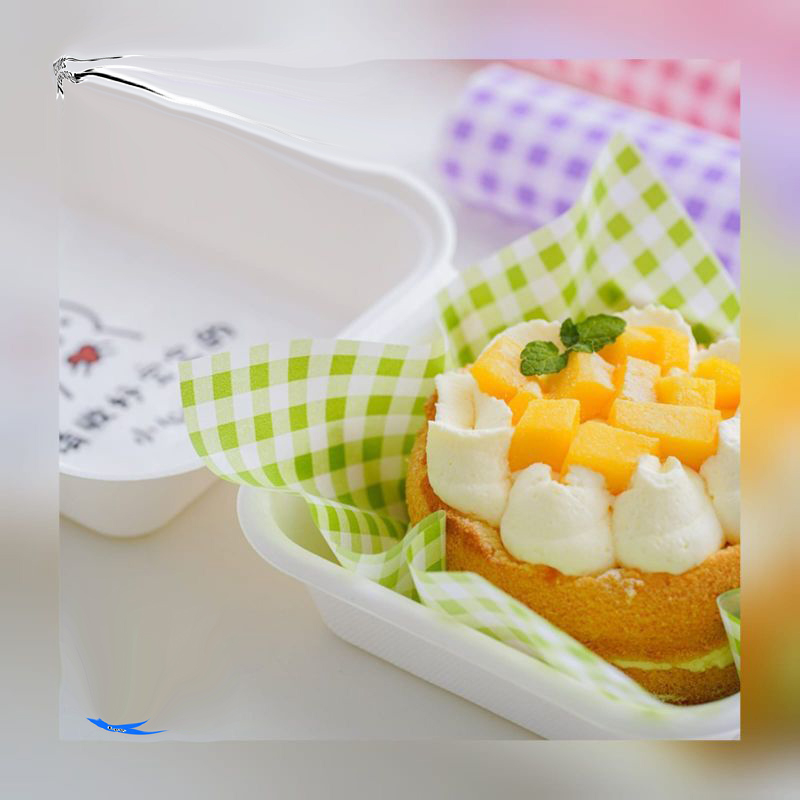 Jual 10 Lembar Kertas Alas Bento Bekal Anak Paper Alas Kotak Bekal ...