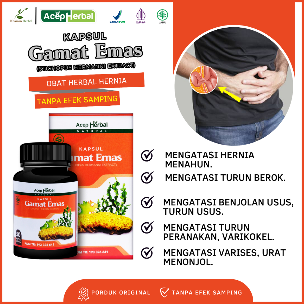 Jual Obat Herbal Hernia, Hernia Menahun, Hernia Anak Dan Dewasa, Turun ...