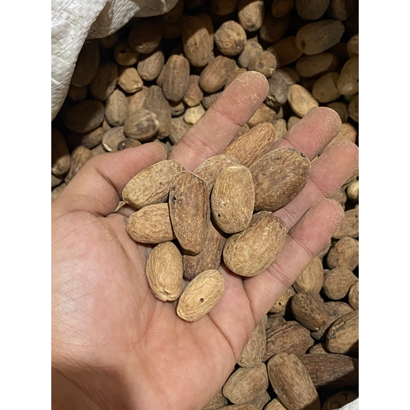 Jual Biji Pala Kupas Lonjong kemasan 1kg /Pala Kupas Rempah Bumbu Dapur ...