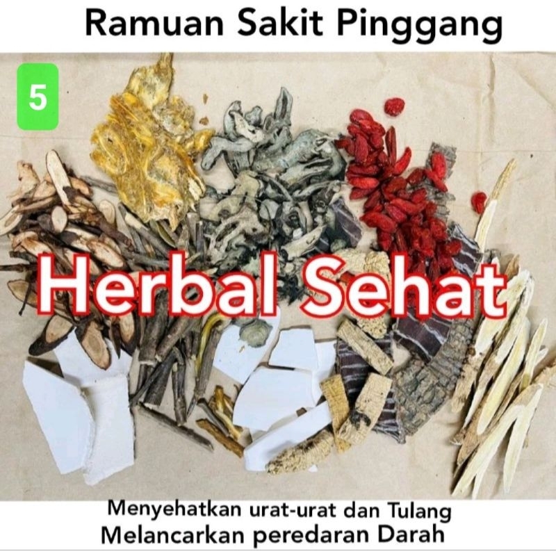 Jual Ramuan Obat Sakit Pinggang - Menyehatkan Urat-urat Saraf dan ...