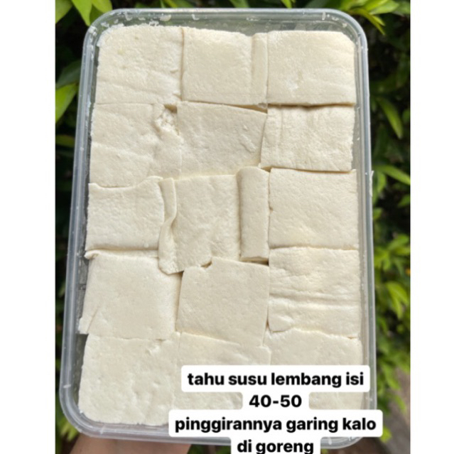 Jual TAHU SUSU LEMBANG BANDUNG isi 40-50 pcs | Shopee Indonesia