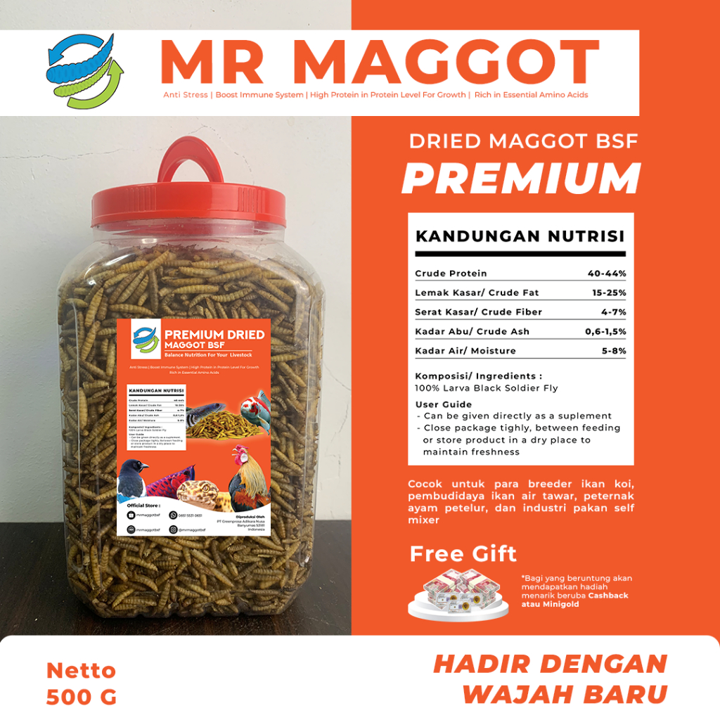 Jual MR MAGGOT - Grade Premium Maggot/Magot Kering BSF untuk pakan ikan ...