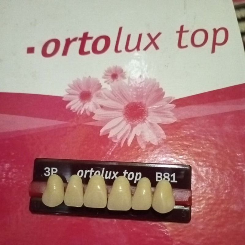 Jual ortolux top warna 81 depan atas dental gigi palsu | Shopee Indonesia