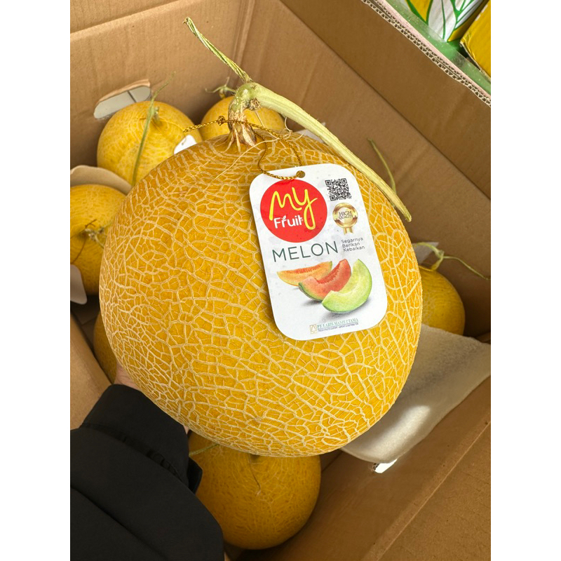Jual melon inthanon 1kg | Shopee Indonesia