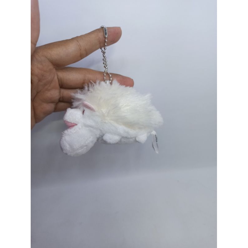 Jual boneka landak hedgehog albino mini original shakurel planet ...