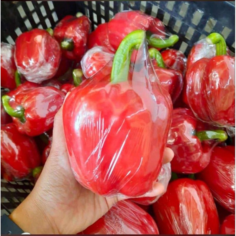 Jual Paprika Merah / kg | Shopee Indonesia