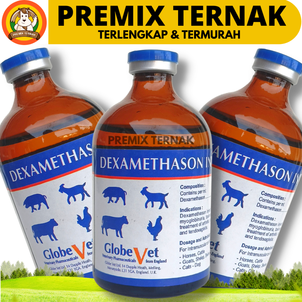 Jual DEXA GLOBE VET 100 ml - DEXAMETHASON PANTEX HOLLAND | Shopee Indonesia