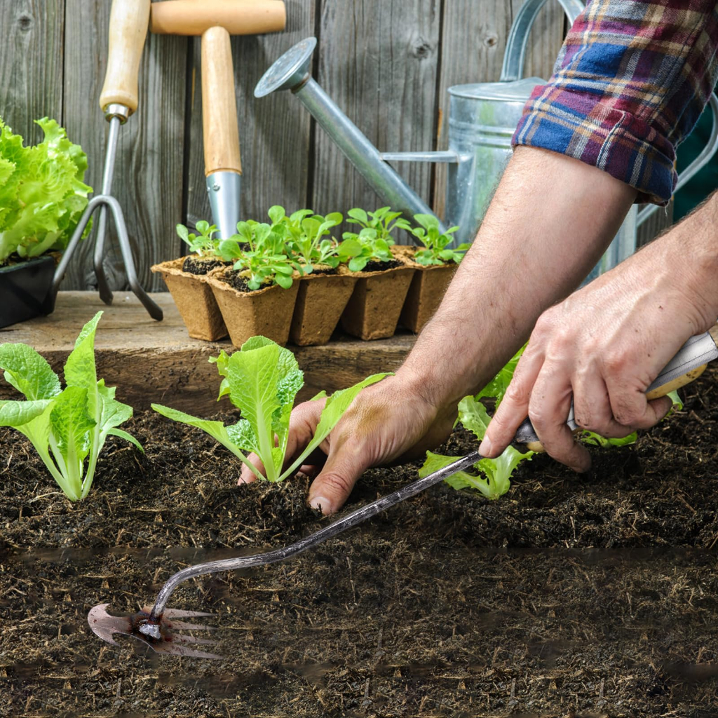 Jual Garukan Tanah Buat Berkebun / Garpu Tanaman Besi / Pencabut Rumput ...