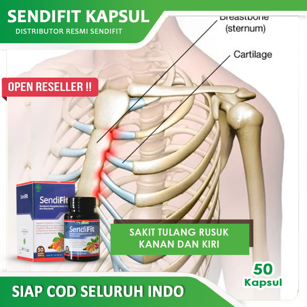 Jual Obat Untuk Sakit Tulang Rusuk Kiri dan Kanan, Tulang Rusuk Ngilu ...