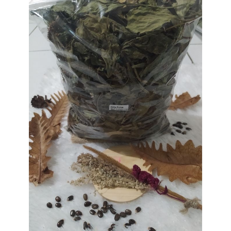 Jual daun sendok ki urat kering asli (100g) | Shopee Indonesia