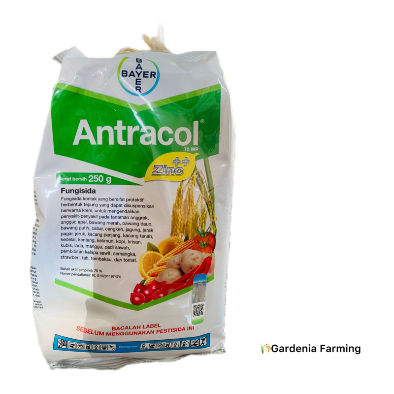 Jual Antracol 250grm | Shopee Indonesia