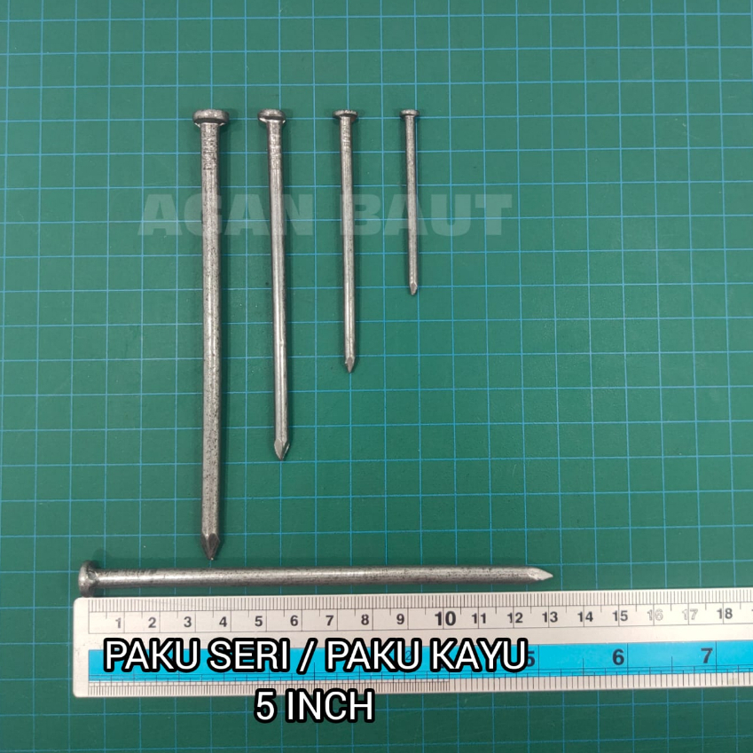 Jual Paku Kayu / Paku Seri 12,5 cm Ecer 1/2kg (500gram) | Shopee Indonesia